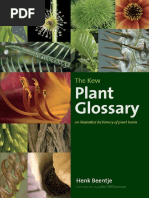 Adjectives For Describing A Plant | PDF | Plants | Flowers