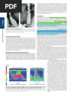 Cápsula de Glisson | PDF | Tejido adiposo | Riñón
