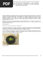 Tabela Anexo III Simples Nacional 2024 | PDF | Contabilidade | Impostos