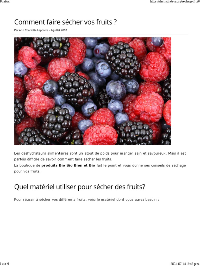 Séchage des Fruits : Guide Pratique | PDF | Mangue | Fruit