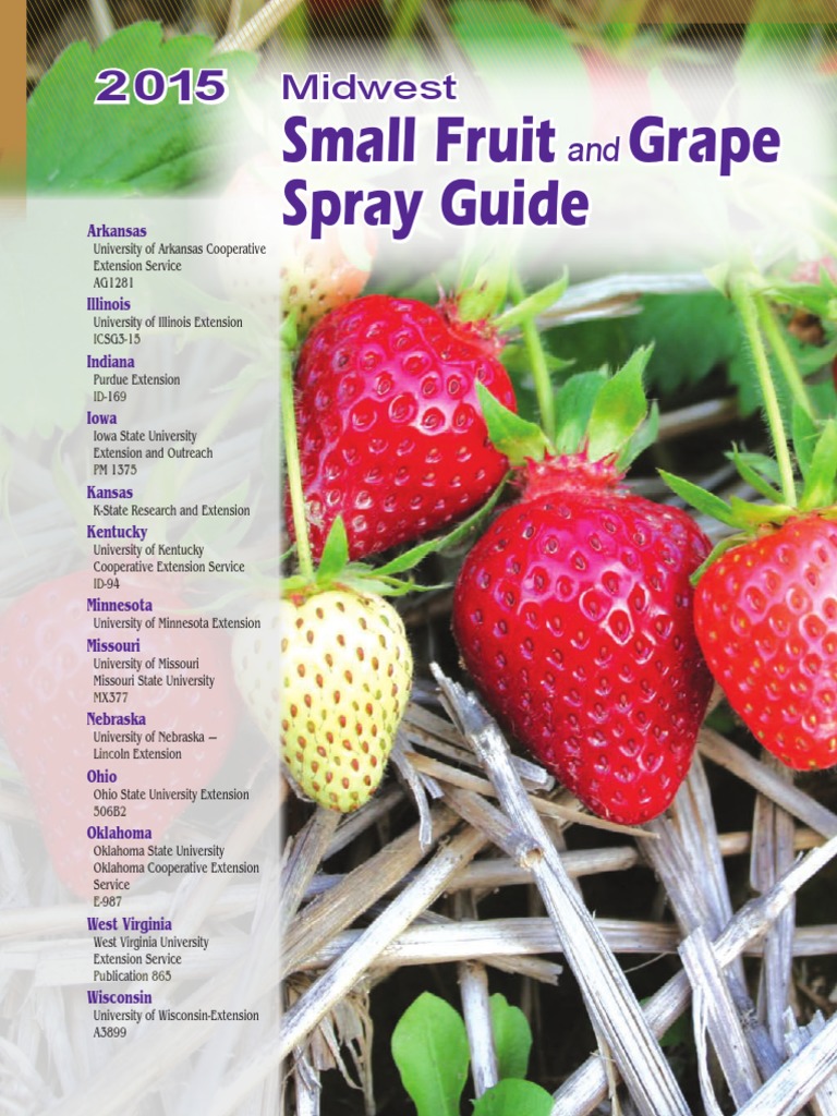 Midwest Small Fruit Spray Guide 2015 | PDF | Pesticide | Personal ...
