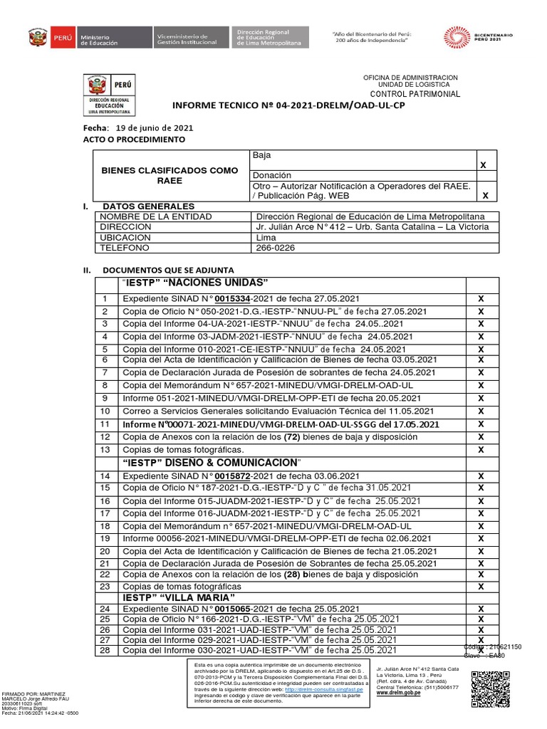 Informe Técnico sobre Baja de Bienes RAEE | PDF | Residuos