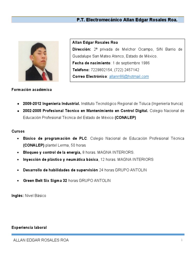 CV Allan Roa Actualizado | PDF