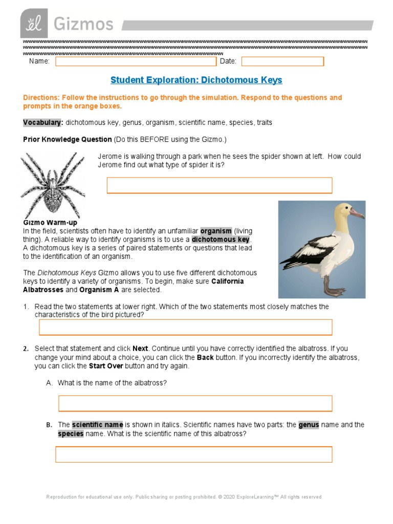 Dichotomous Keys Gizmo | PDF | Cognition