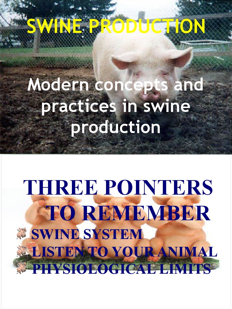 Modern Concepts and Practices in Swine Production | PDF | Domestic Pig ...