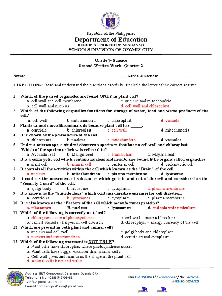 Grade 7 Science Quarter 2 Exam Answers | PDF | Cell (Biology) | Eukaryotes