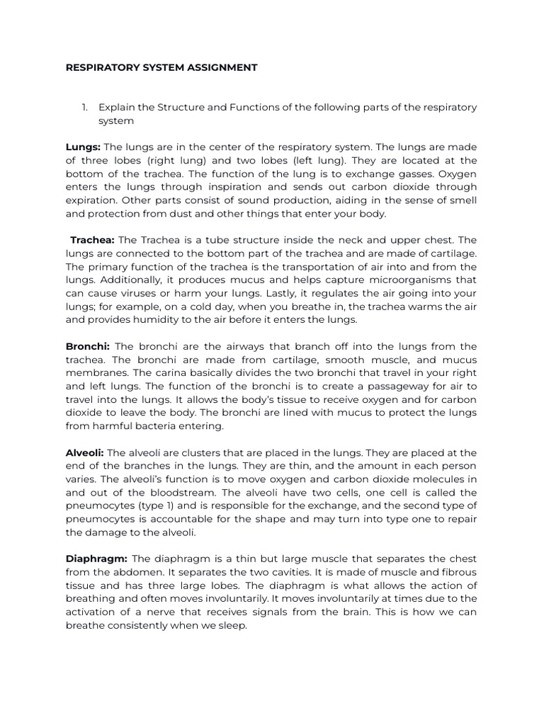 Respiratory System Assignment | PDF | Lung | Respiratory Tract