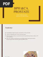 Prostate Fossa Contouring Guide: Jill Gunther, MD Modified by The ...