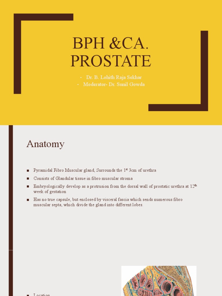 BPH and CA Prostate | PDF | Prostate Specific Antigen | Prostate