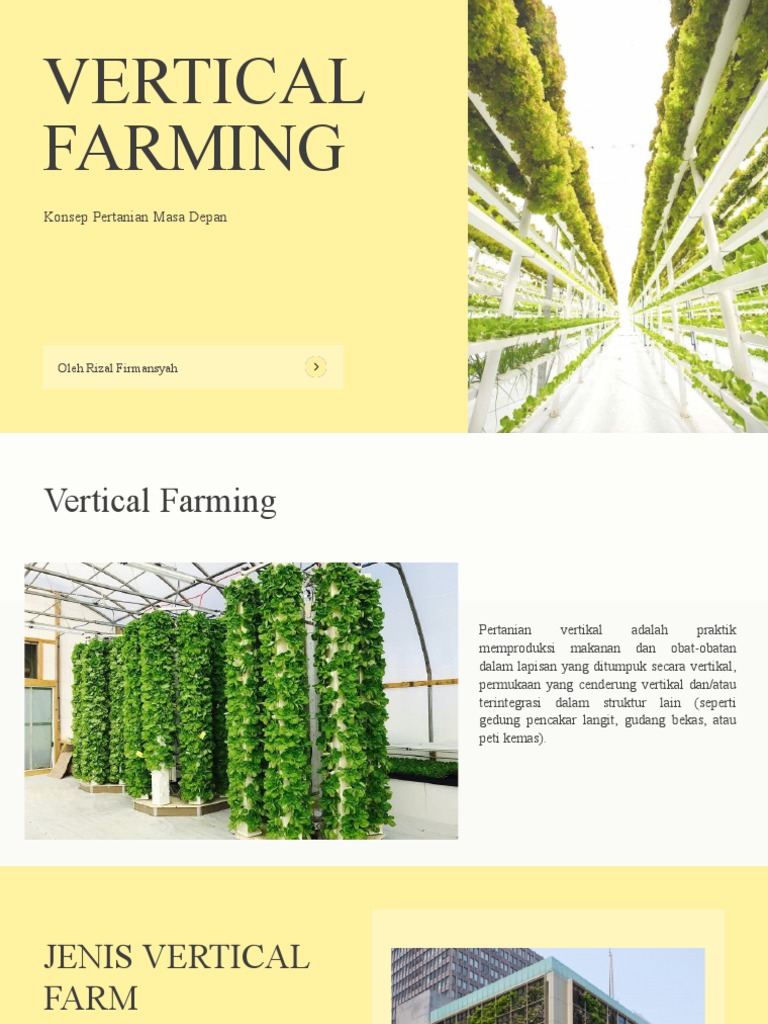 Vertical Farming | PDF