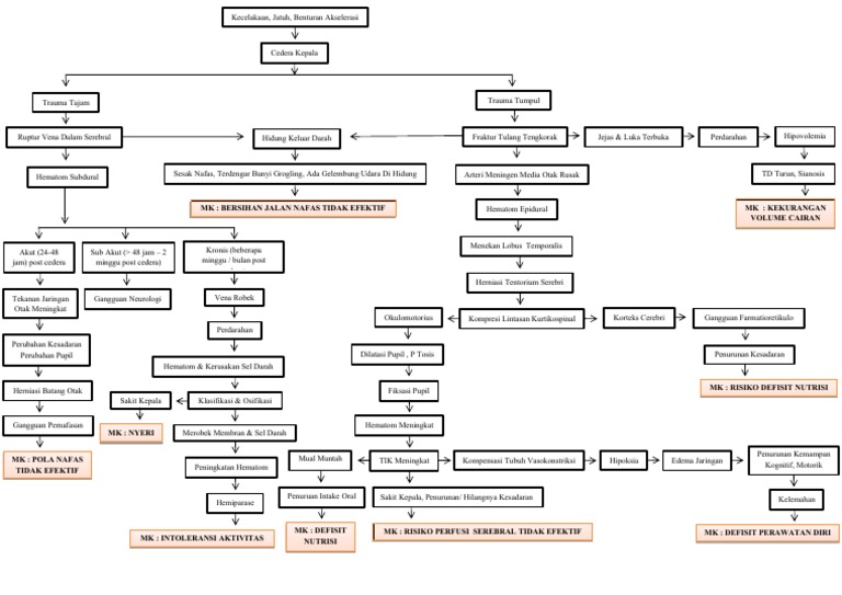 Pathways Cedera Kepala | PDF