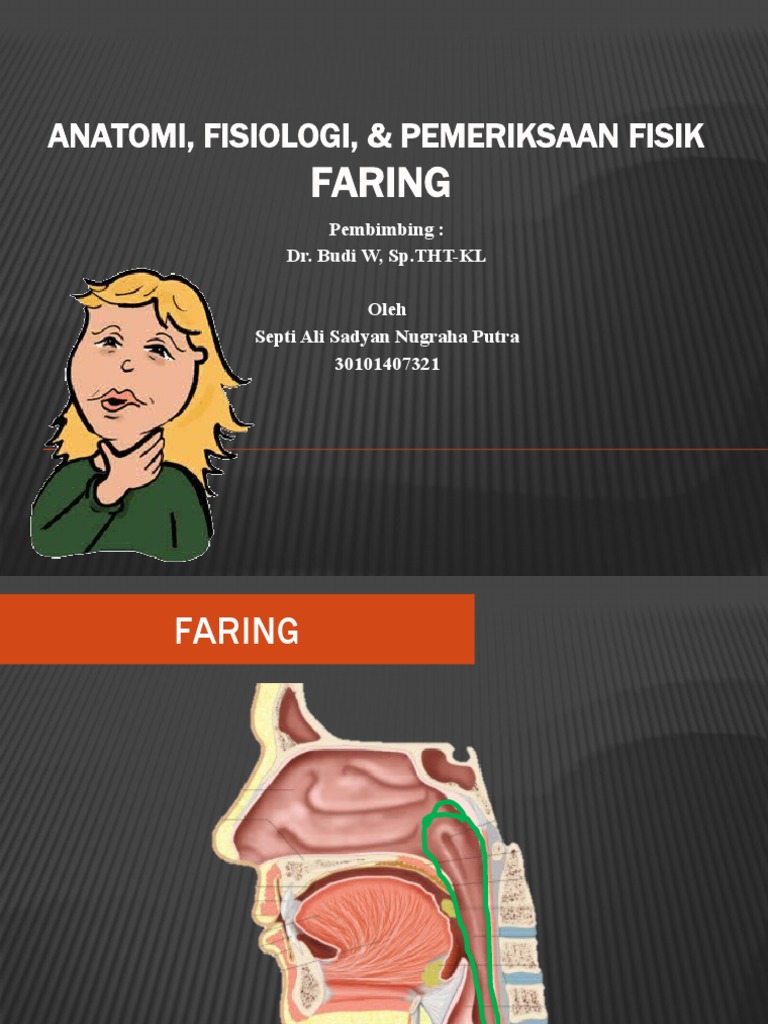 Anatomi, Fisiologi, PX Faring PPT Ali | PDF