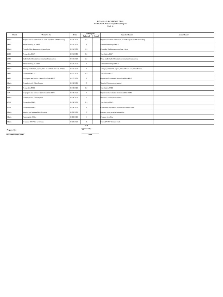 Estavillo & Company Cpas Weekly Work Plan/Accomplishment Report | PDF ...
