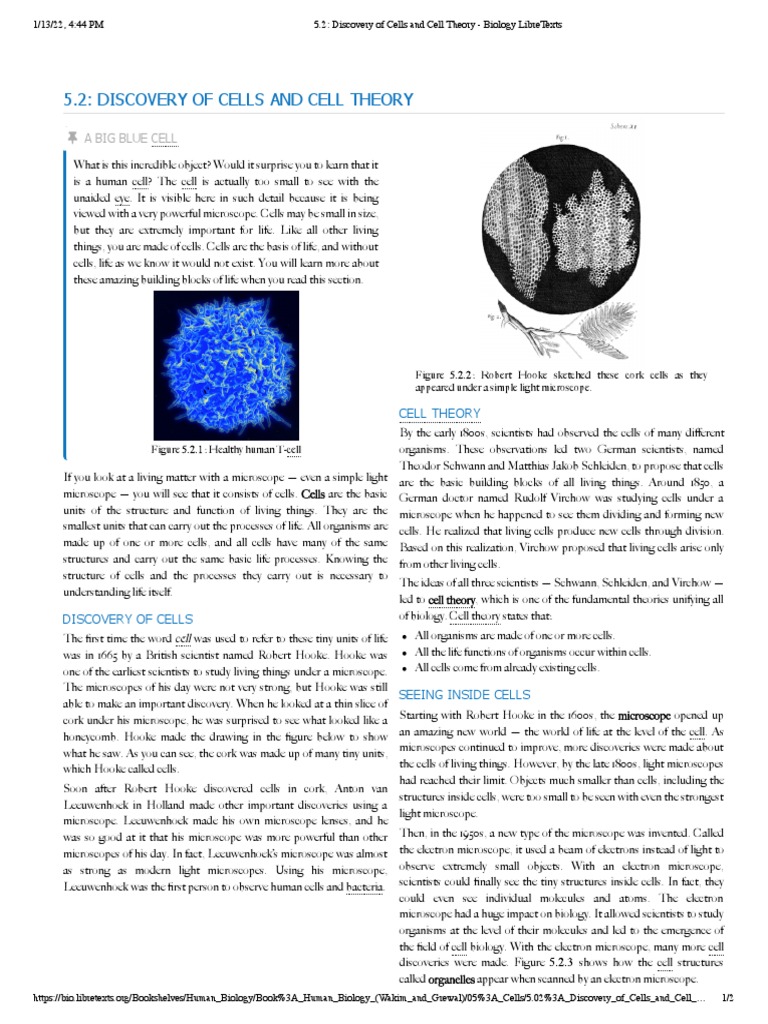 L1 A.Discovery of Cells and Cell Theory | PDF | Microscope | Cell (Biology)