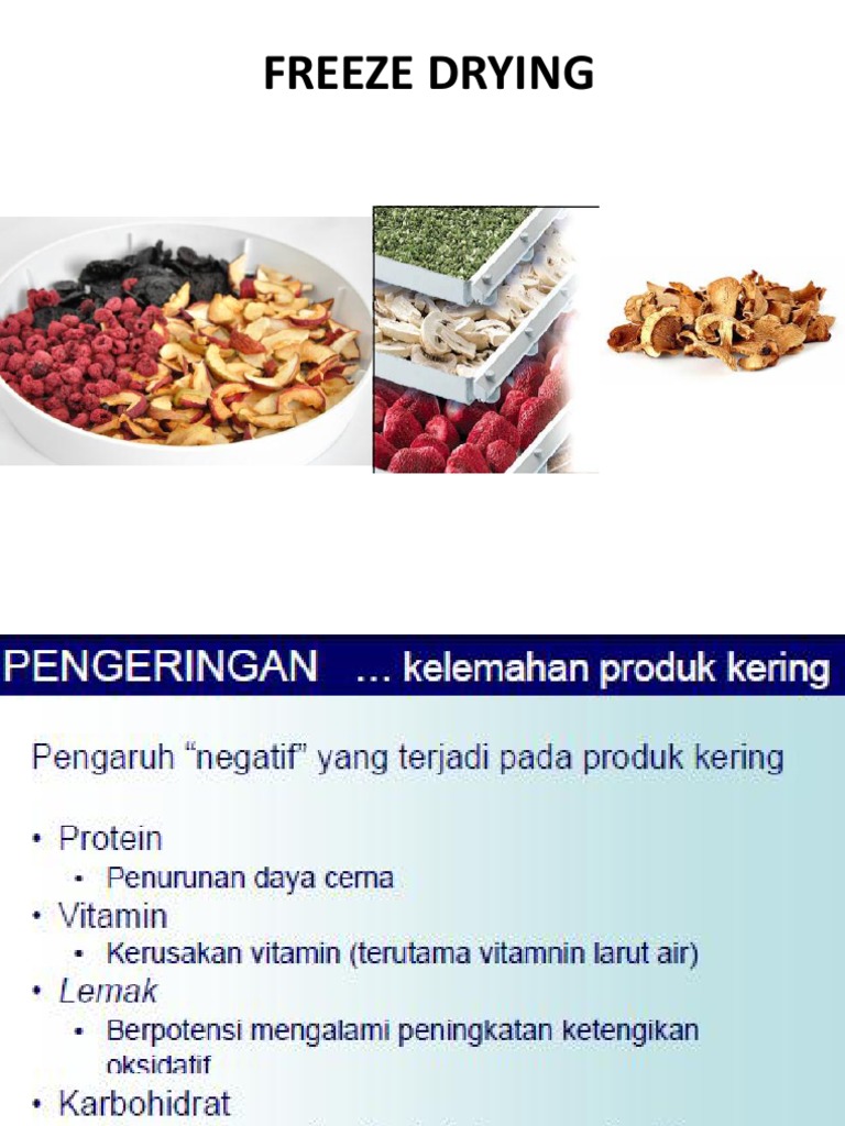 Materi Freeze Drying | PDF