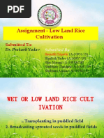 Single Seed Descent Method | PDF | Plant Breeding | Dominance (Genetics)