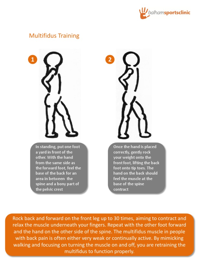 Multifidus Exercise | PDF