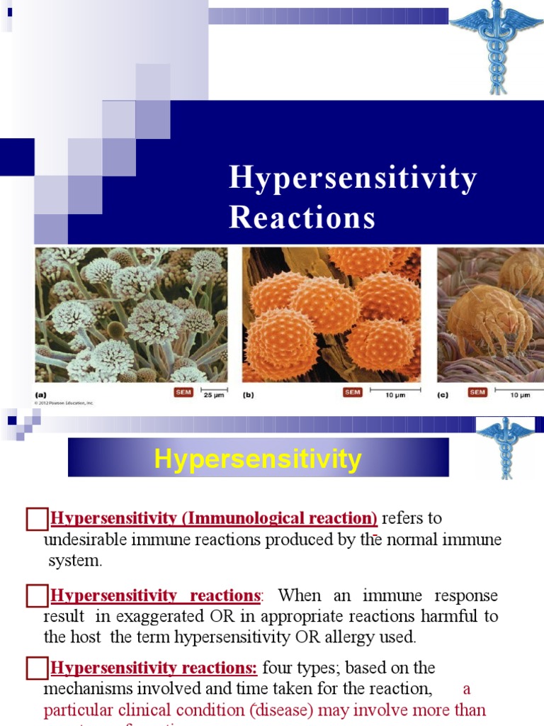 Hypersensitivity Reactions | PDF | Immune System | Allergy