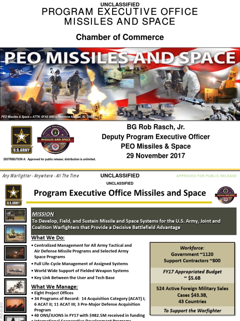 Program Executive Office Missiles and Space: Developing and Sustaining ...