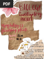 Herbarium Format Project | PDF | Botany | Plants