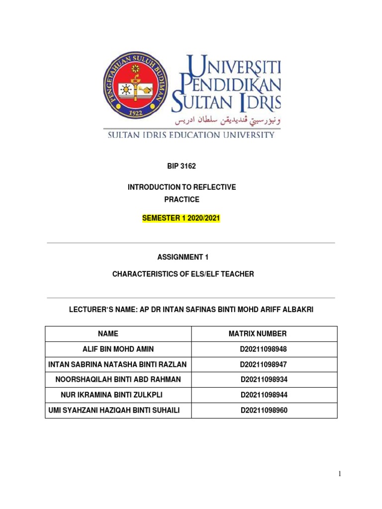 Assignment Bip Pdf Teachers Pedagogy 