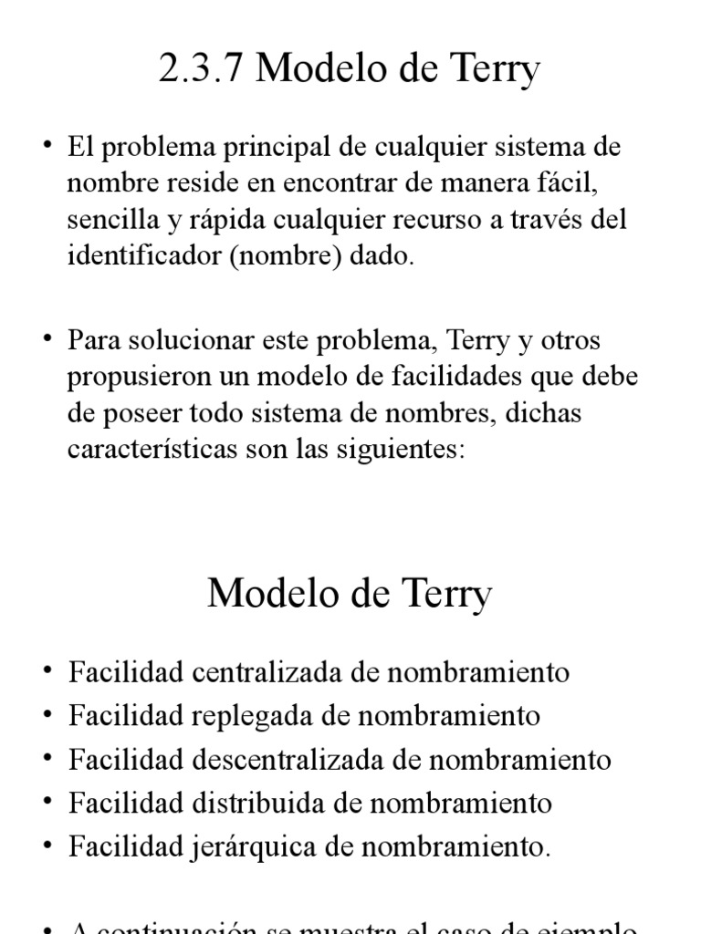Modelo de Terry | PDF