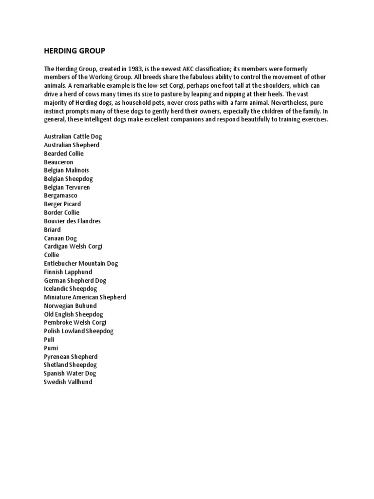 An Overview of the AKC Dog Breed Groups: Herding, Hound, Toy, Non ...