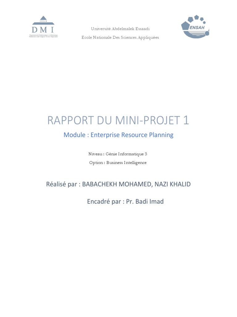 Rapport ERP Mini-Projet 1 | PDF | Progiciel de gestion intégré | Facture
