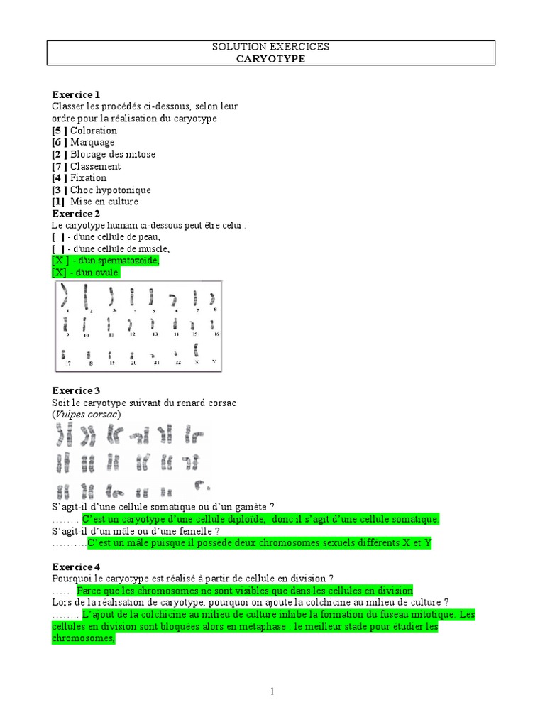 CHAP 2 Solution | PDF | Chromosome | Caryotype