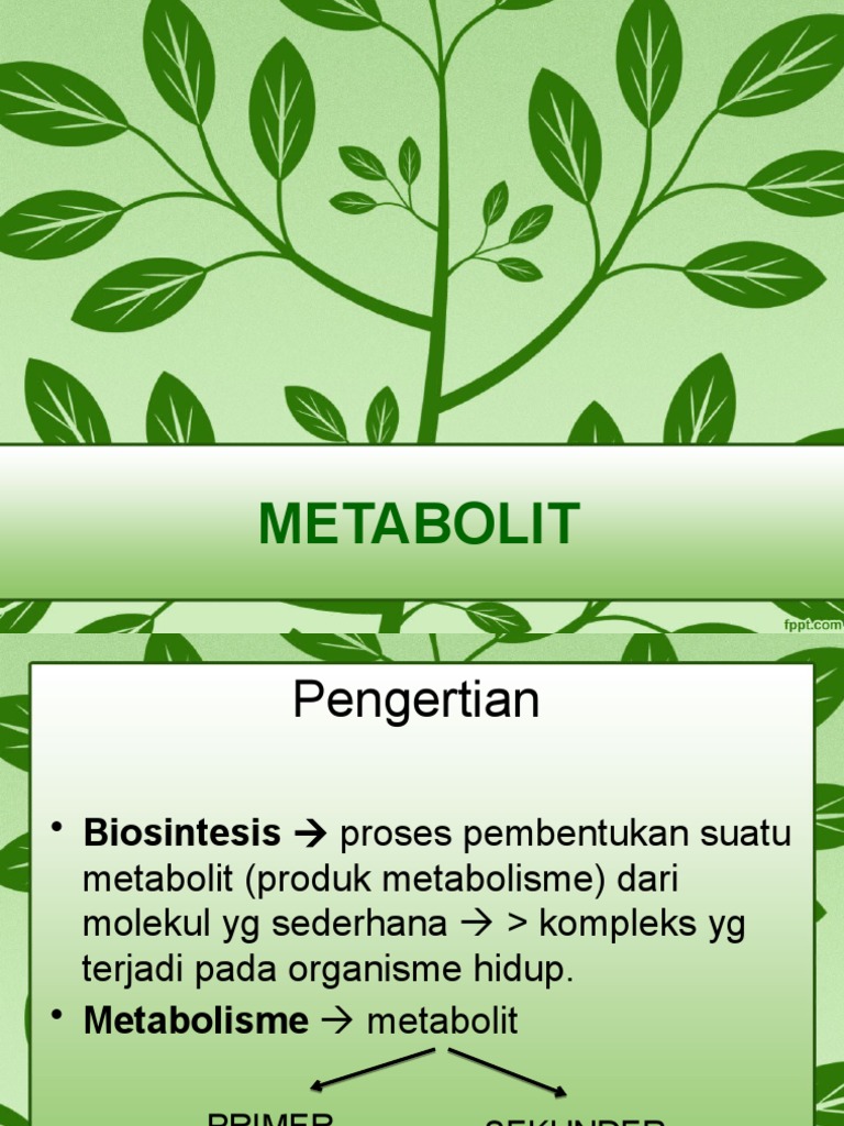 Jalur Metabolisme Sekunder Tumbuhan | PDF