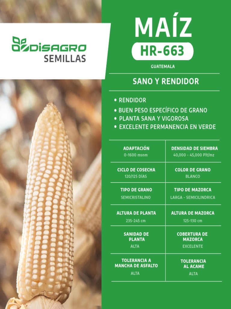 Maiz hr-663 | PDF