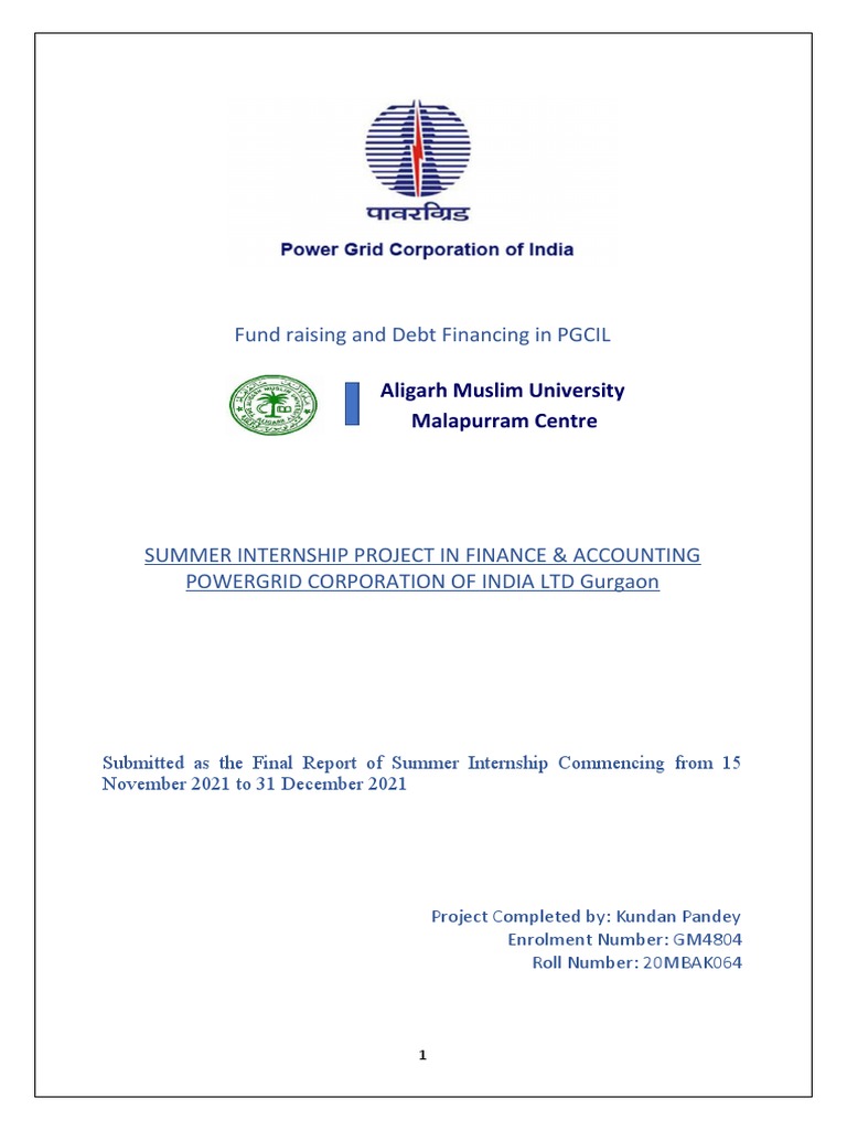 Pgreport | PDF | Bonds (Finance) | Commercial Paper