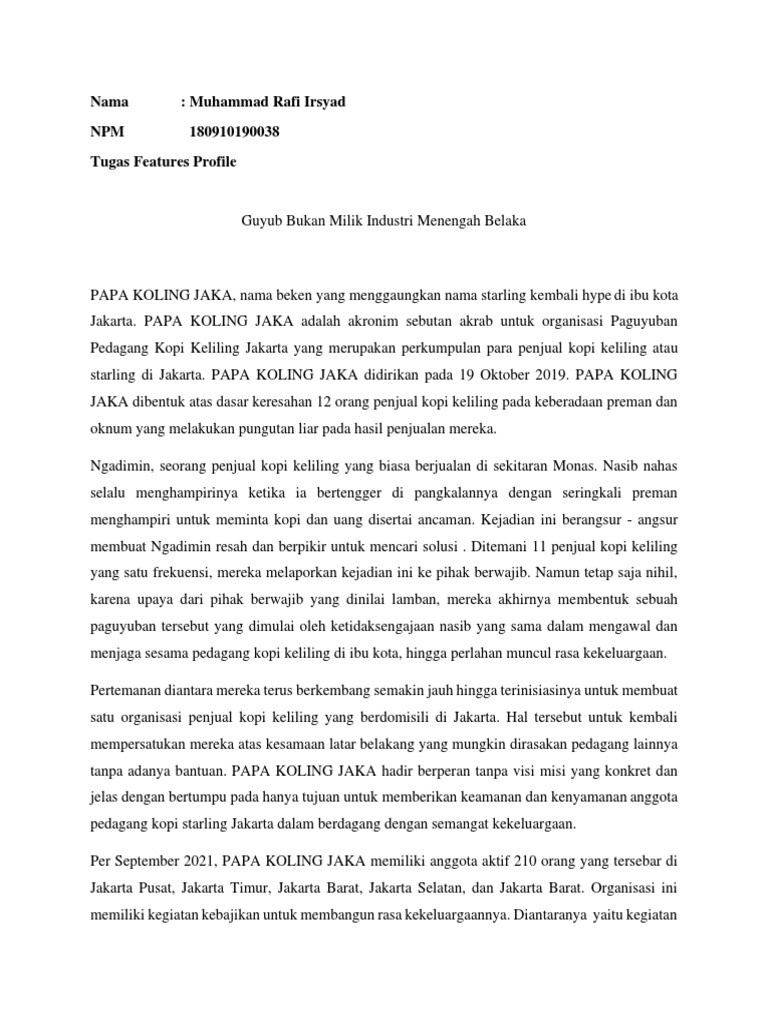 Muhammad Rafi Irsyad - Features Profil | PDF | Ilmu Sosial