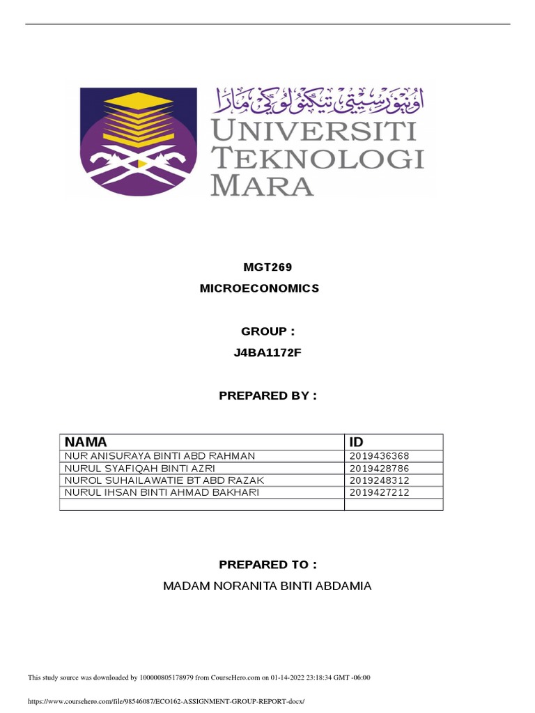 Eco162 Assignment Group Report | PDF | Supply (Economics) | Business