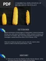 Heterotic Pools | PDF | Plant Breeding | Hybrid (Biology)