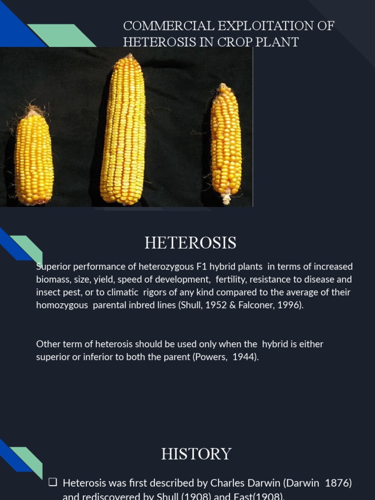 Commercial Exploitation of Heterosis in Crop Plant | PDF | Dominance ...