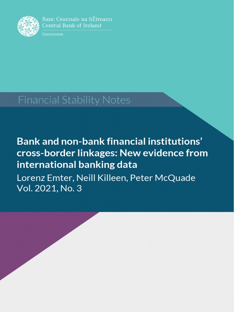 No 3 Bank and Non Bank Financial Institutions | PDF | Macroprudential ...