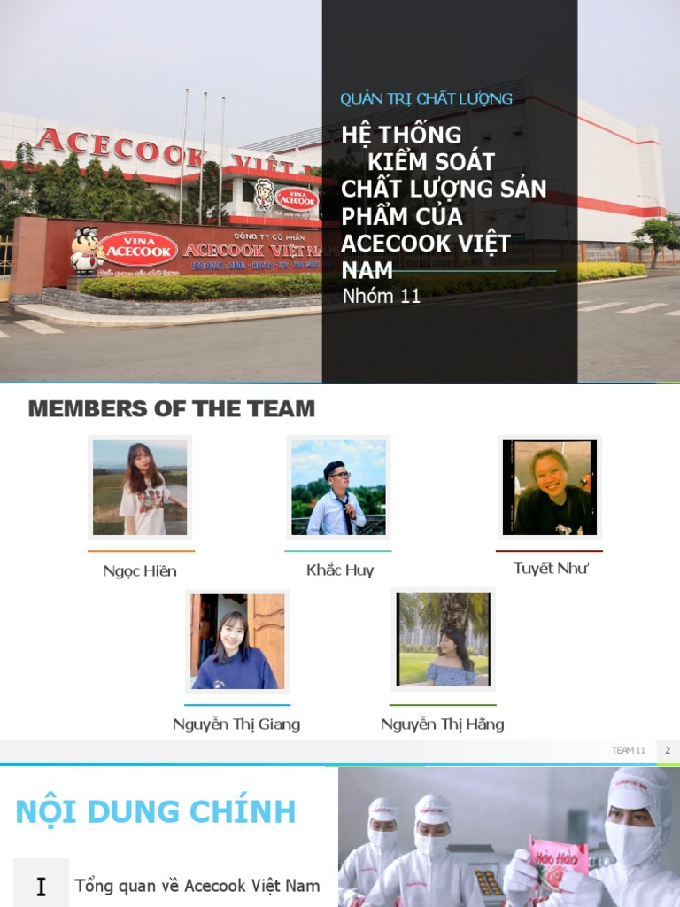 Acecook | PDF