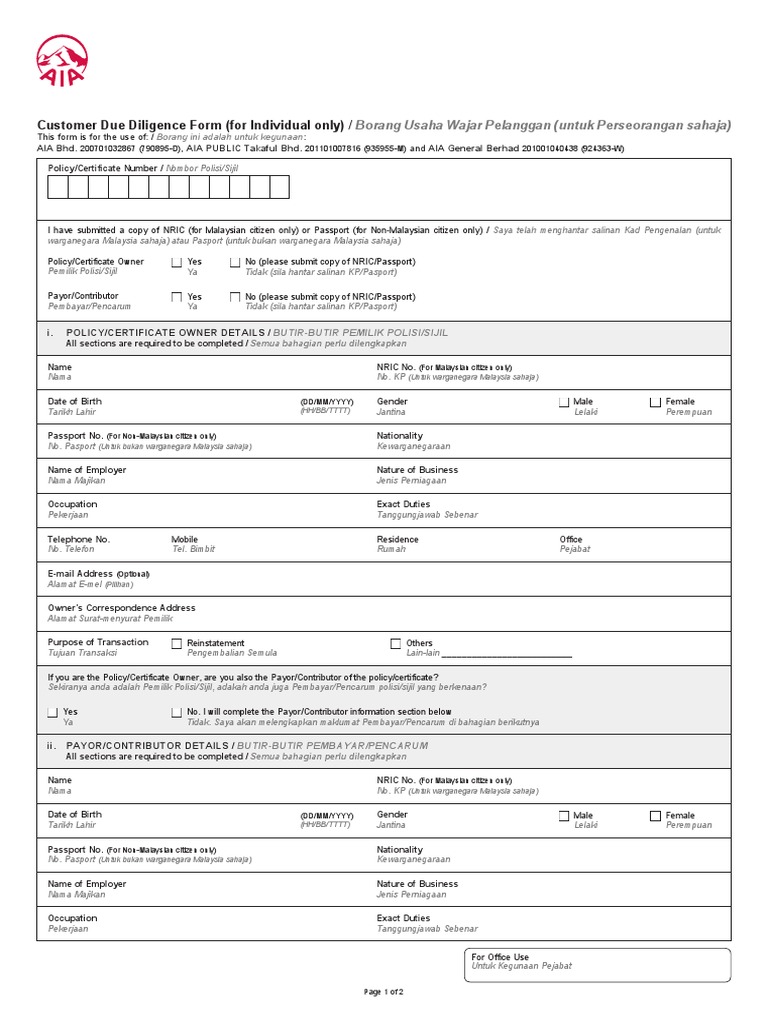 Customer Due Diligence Form (Individual) 3006 | PDF | Government ...