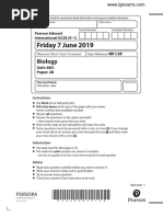 Tracing Childhood Bioarchaeological Investigations of Early Lives in ...