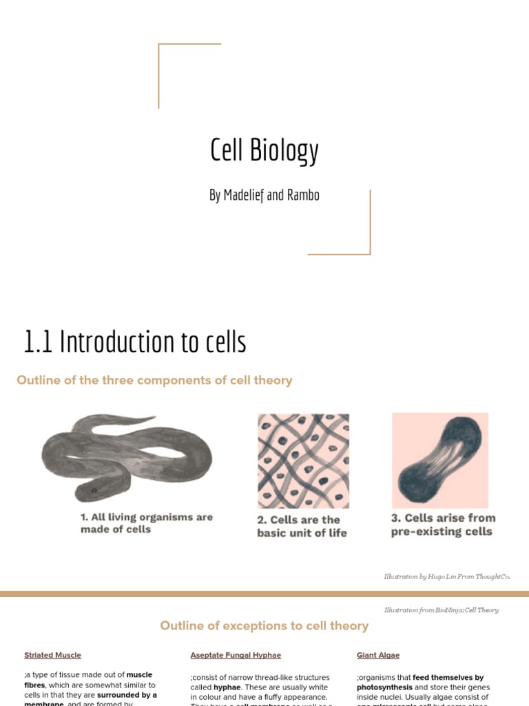 Cell Biology Overview | PDF | Cell Membrane | Cell (Biology)