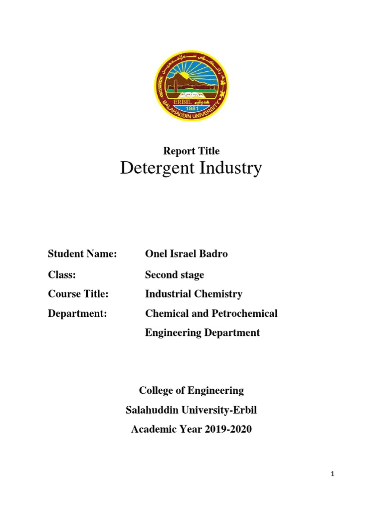 Detergent Industry Report - Onel Israel | PDF | Surfactant | Detergent