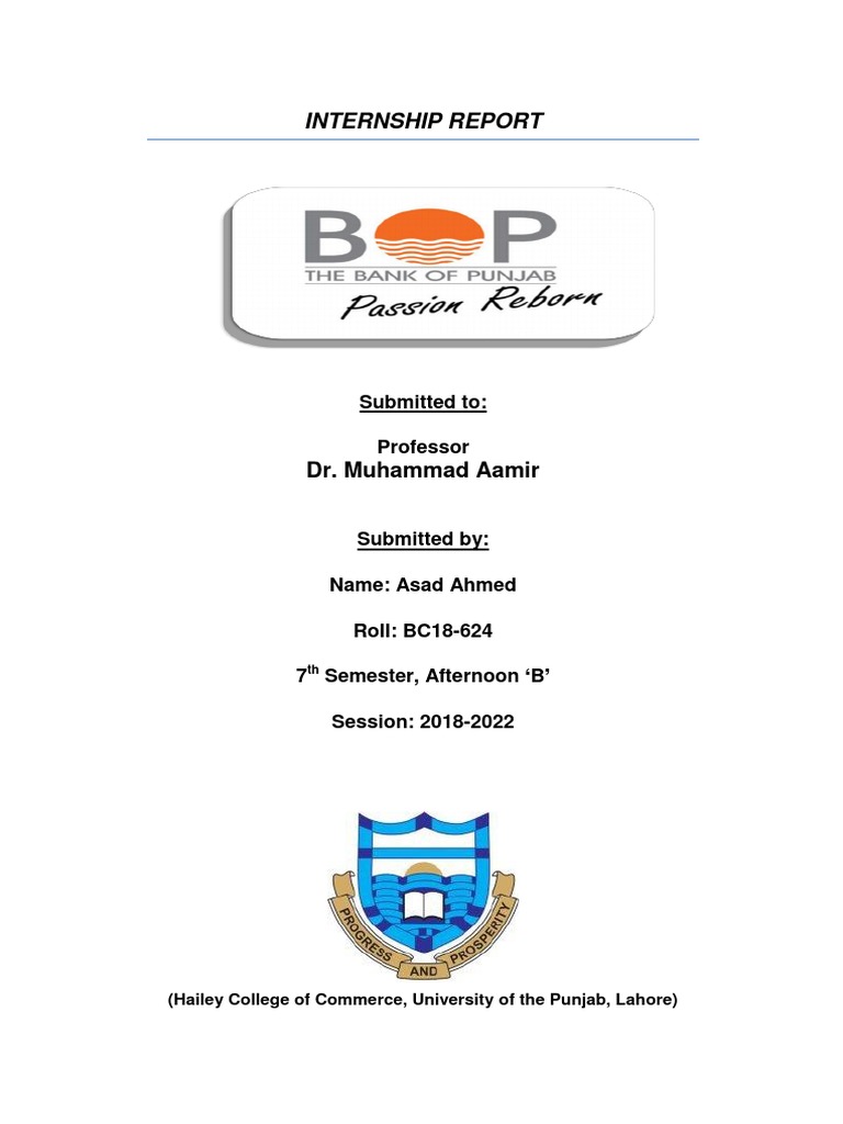 BOP Report | PDF | Banks | Cheque