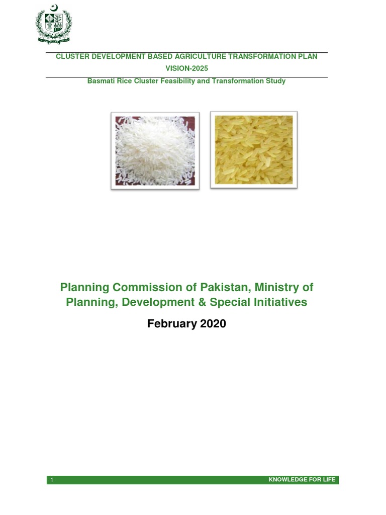 Basmati Rice Cluster Report | PDF | Rice | Economies