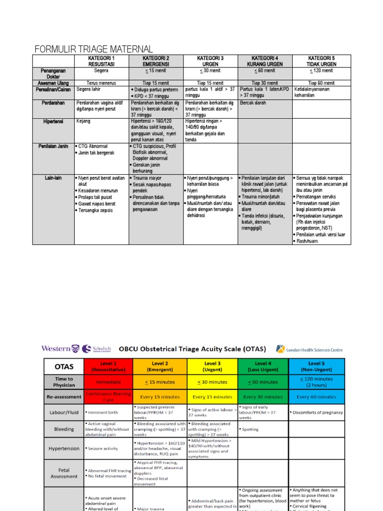 Form Triase Maternal | PDF