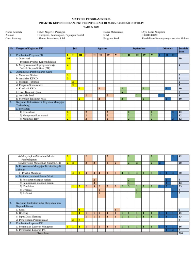 Matriks Program Kerja PK | PDF