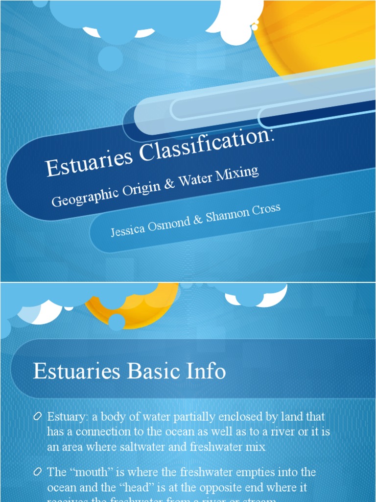 Estuary Types & Water Mixing Guide | PDF | Estuary | Hydrography