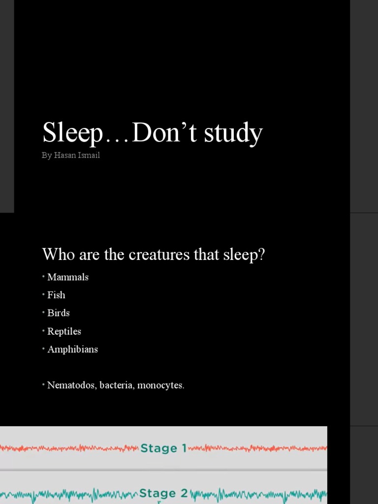 Sleep | PDF
