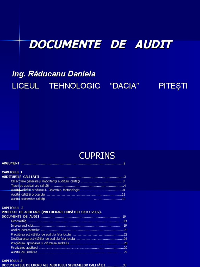 Documente de Audit | PDF