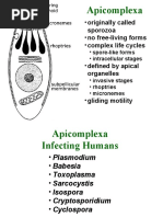 TriGene Data Sheets | PDF | Infection Control | Medical Device